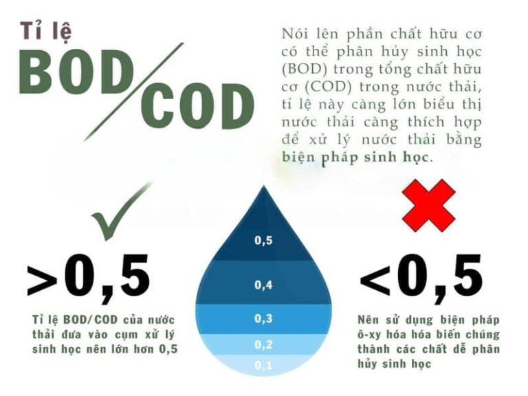 Sự khác biệt giữa BOD COD là gì? Ý nghĩa của tỷ lệ BOD/COD